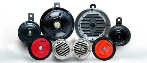 Unique Horns Collection | Natural and Artistic Designs